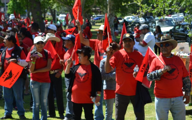 United Farm Workers of America - NFWM