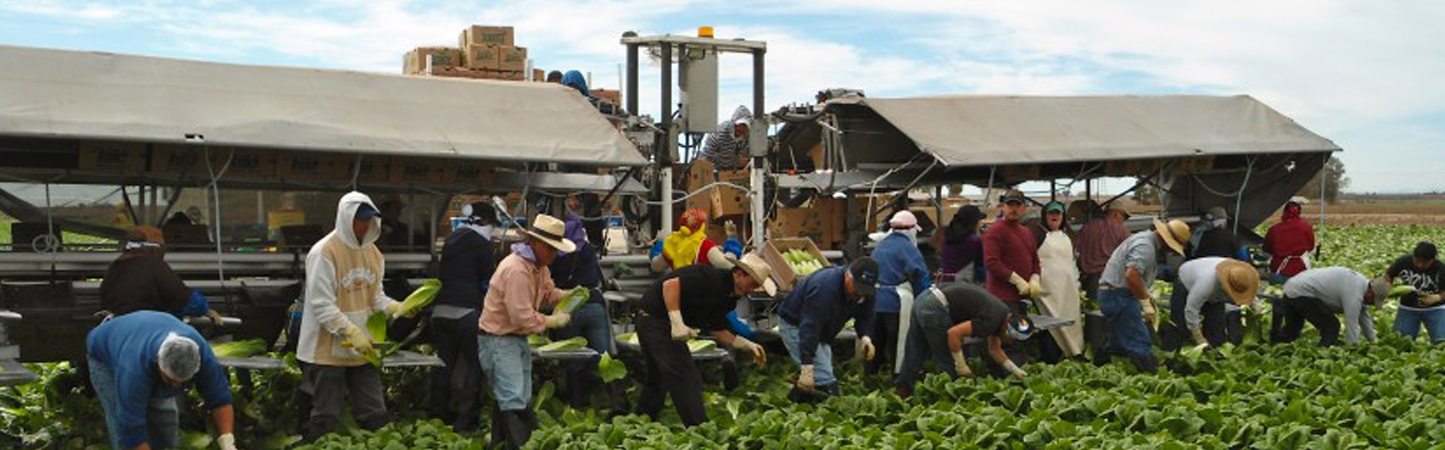 Stories From The Movement - NFWM