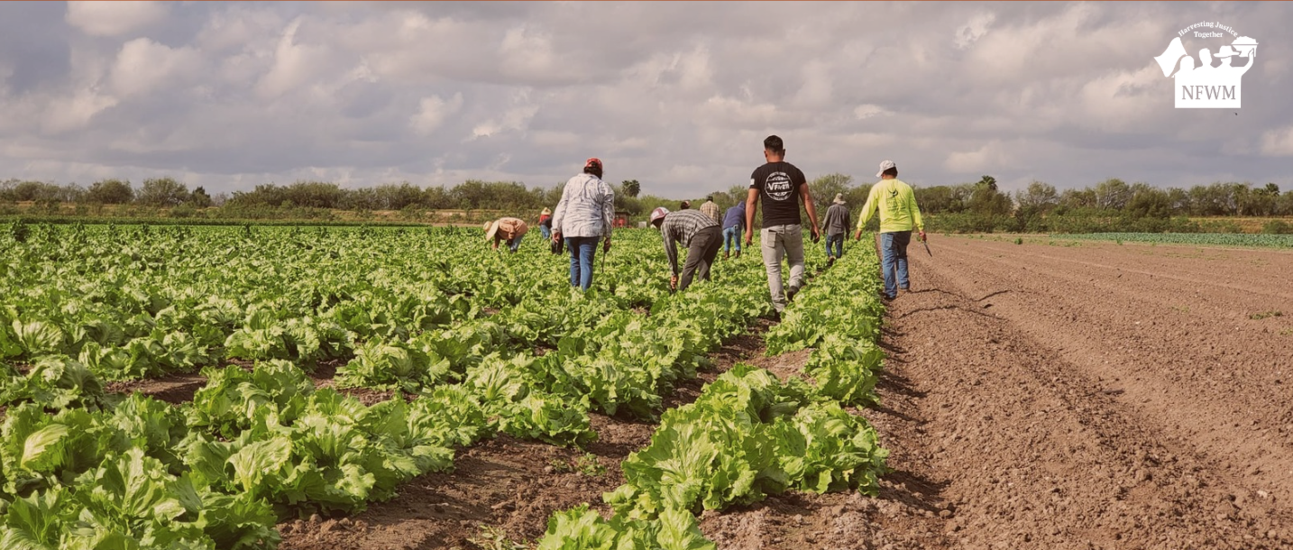 Watch the Replay - Too Hot to Work: Farm Workers and the Fight for Heat ...